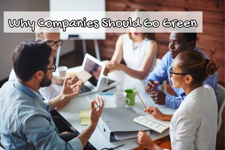 +127 Ways to Go Green and Become Eco-friendly and Their Benefits