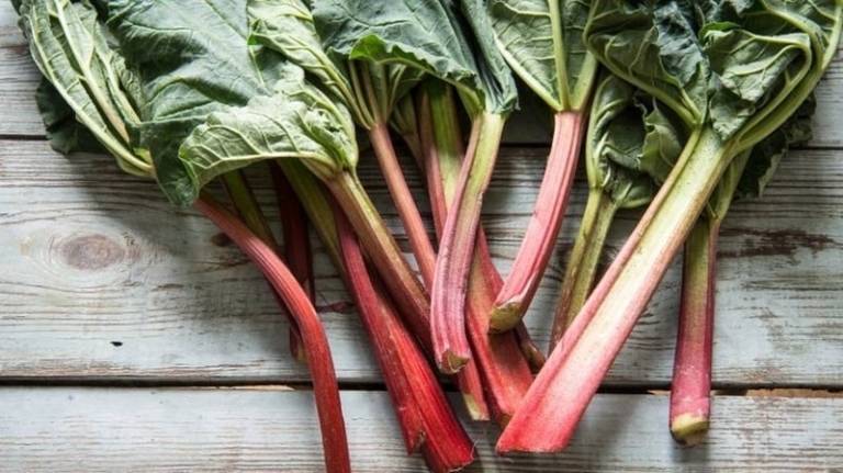 Rhubarb: How to Grow Them and Why You Should Do it
